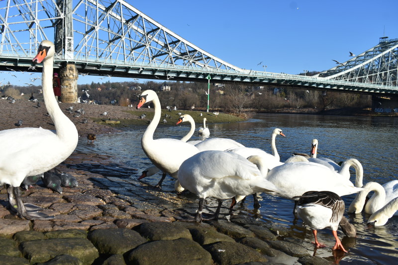 Mit Respekt und zum Wohl der Tiere - Wenn sie füttern, dann aber richtig!