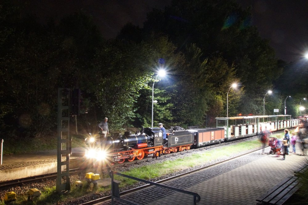 Dampflokfest der Dresdner Parkeisenbahn: Parallelfahrt der Dampfloks ...